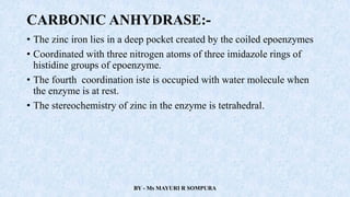 Metallo enzymes- B.Sc semester-6 | PDF