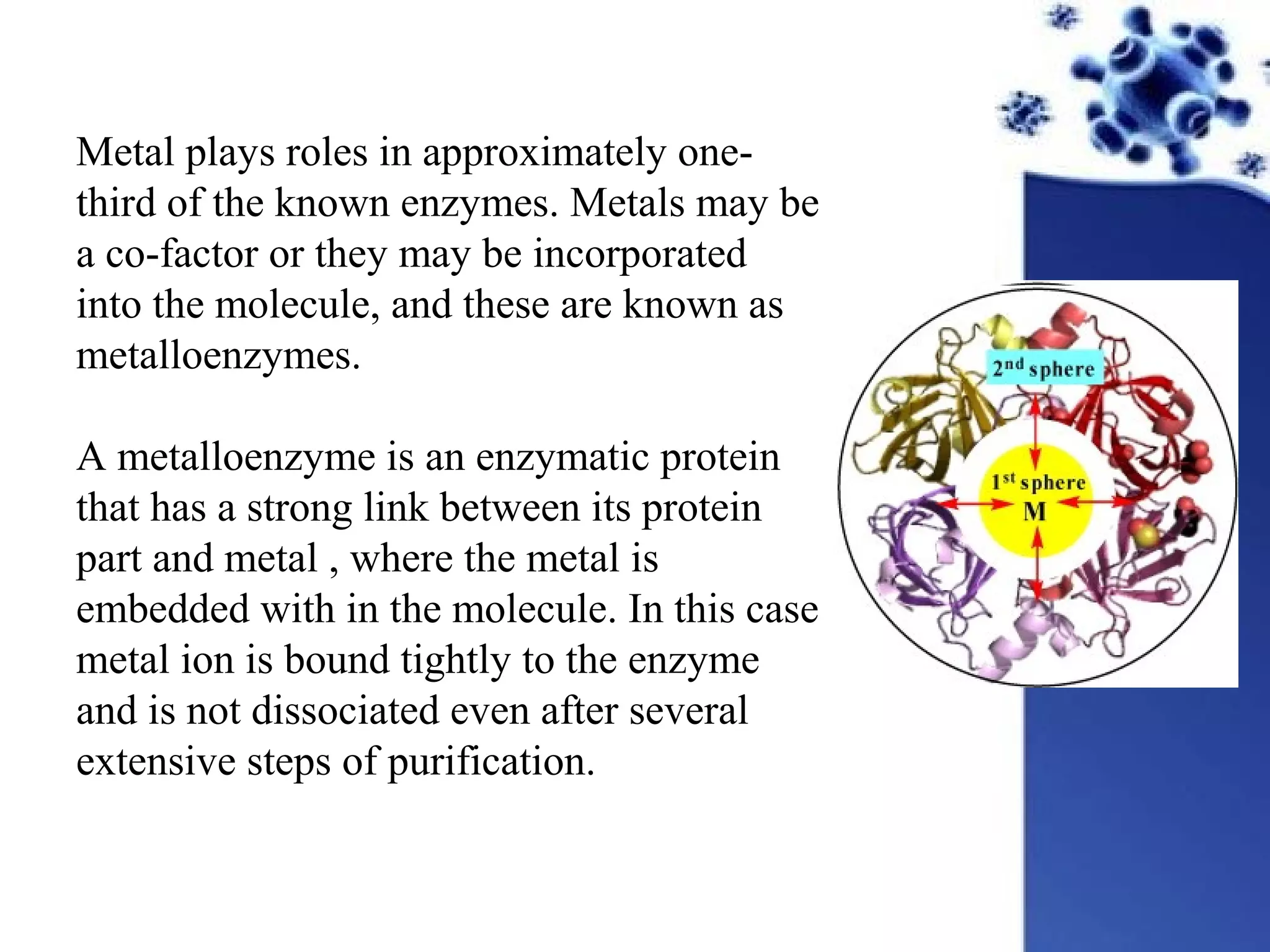 Metallo enzyme and antioxidants | PPT