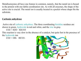 Metallo enzyme and antioxidants | PPT