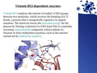 Metallo enzyme and antioxidants | PPT