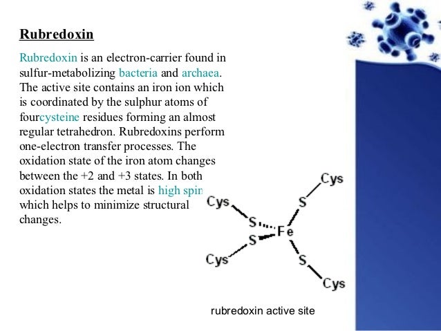 Metallo enzyme and antioxidants