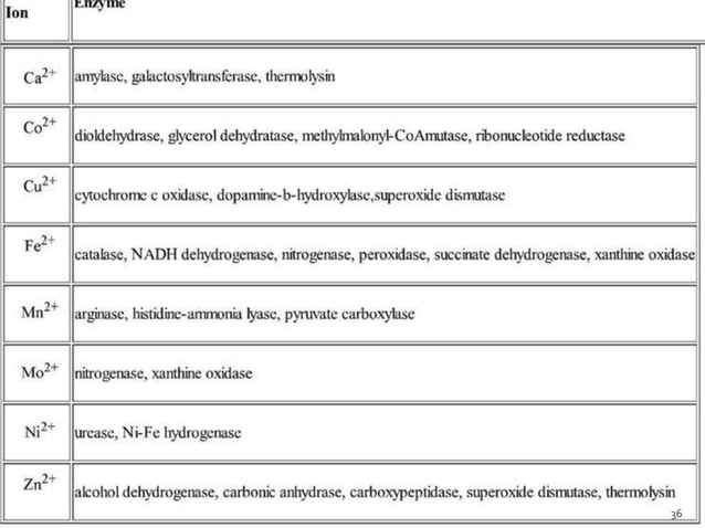 Metalloenzymes preethi | PPTX