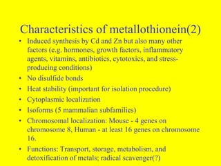 Metallothionein norrgårdsföredrag 011026 | PDF