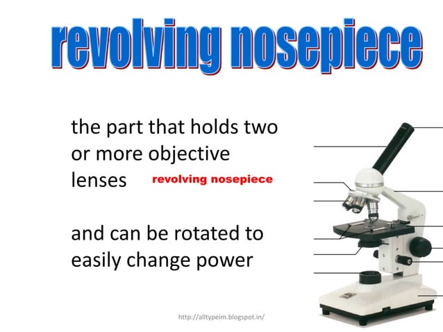 Metallurgical microscope