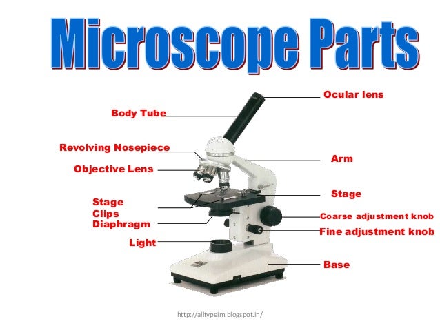 Metallurgical microscope