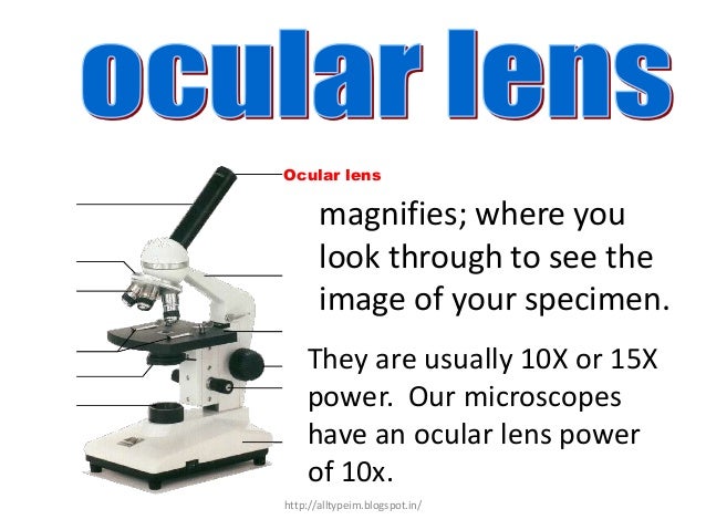 【英语学习】【加州教材】【G6】【科学】Earth Science目录及术语表_国际学校科学词汇6年级-CSDN博客