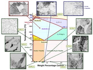 Metallurgical structures | PPTX