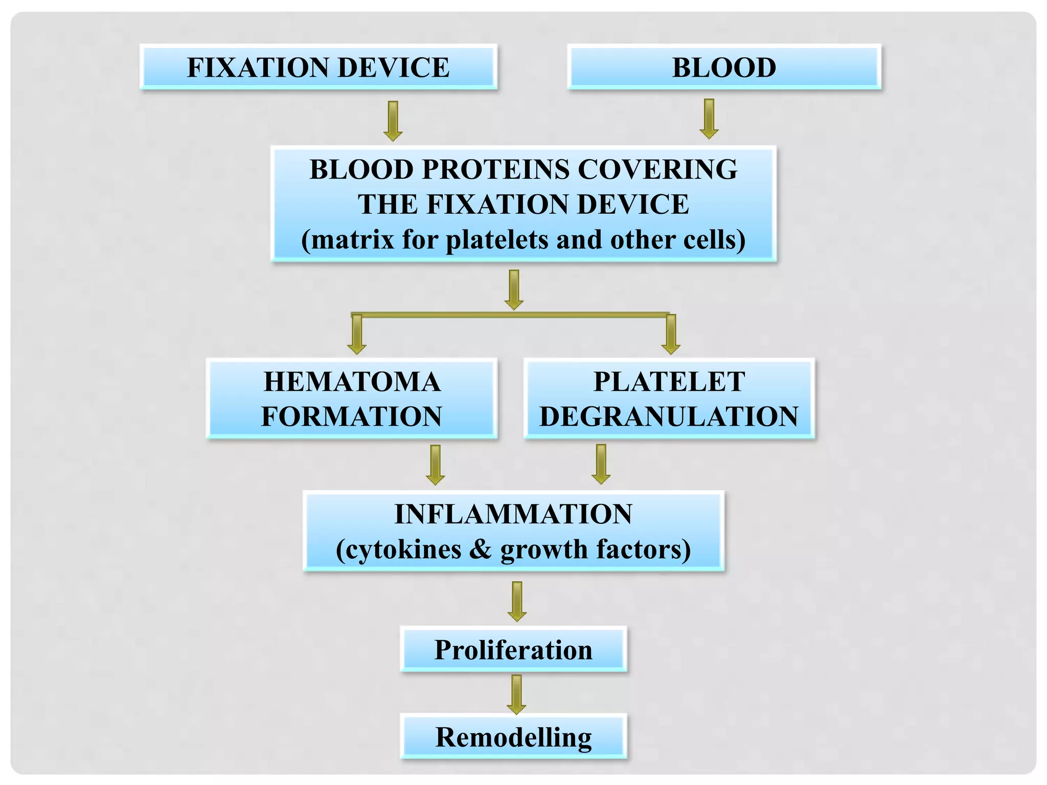 Metallurgy & fixation methods | PPTX