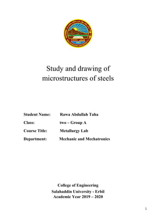 Metallurgy Lab | PDF | Chemistry | Science