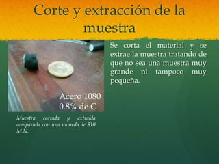 Metalografia de un acero eutectoide | PPTX