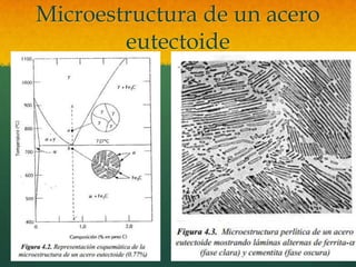 Metalografia de un acero eutectoide | PPTX
