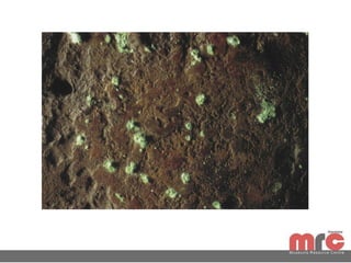 Metals training pdf | PDF | Chemistry | Science