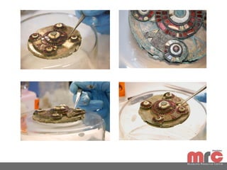 Metals training pdf | PDF | Chemistry | Science