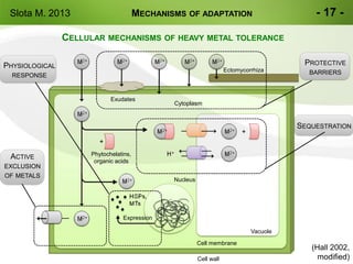 Metal tolerance evolution_ms | PDF