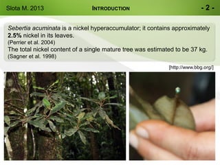 Metal tolerance evolution_ms | PDF