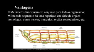 Metameria | PPTX