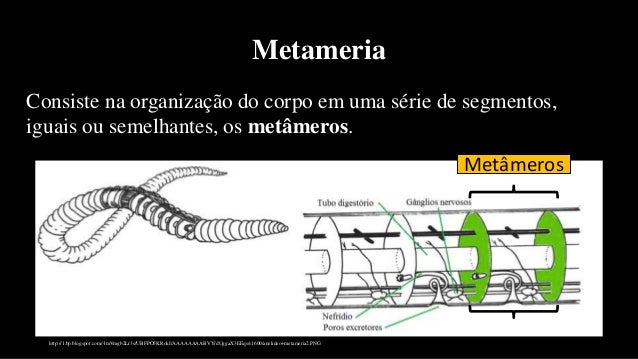 Metameria