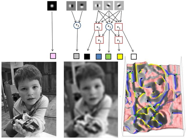 Metamerism? what metamerism? | PPT