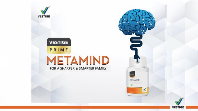 Metamind Launch PPT .pdf