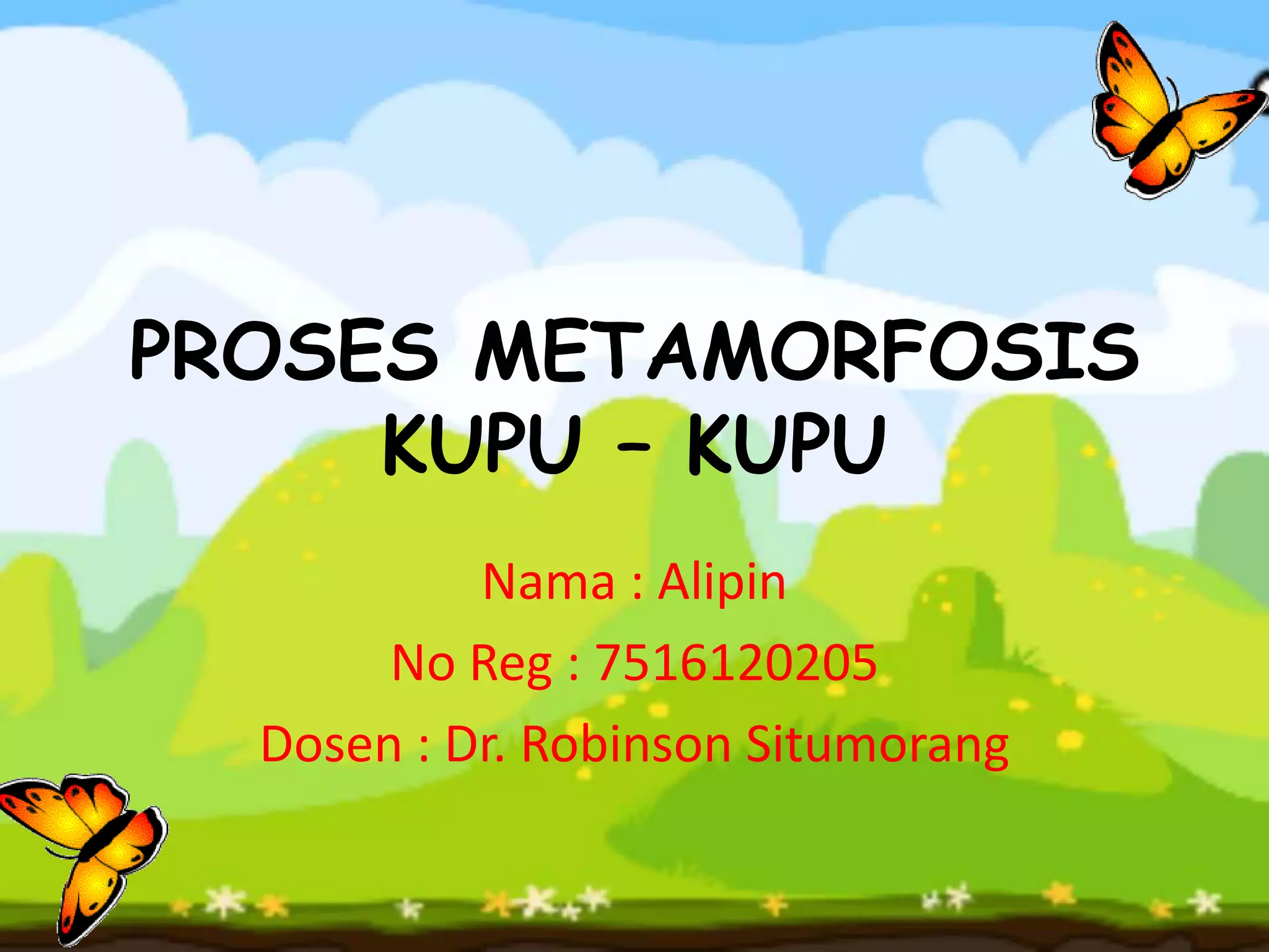 Metamorfosis | PPTX