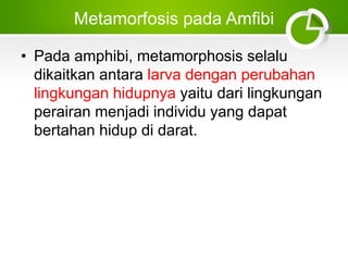 Metamorfosis | PDF