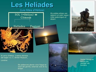 Metamorfosis 2 | PPT