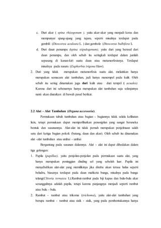 Metamorfosis akar, batang, daun (kel. 11) | DOCX