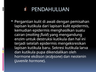 METAMORFOSIS LALAT BUAH tugasPPT 1.pptx