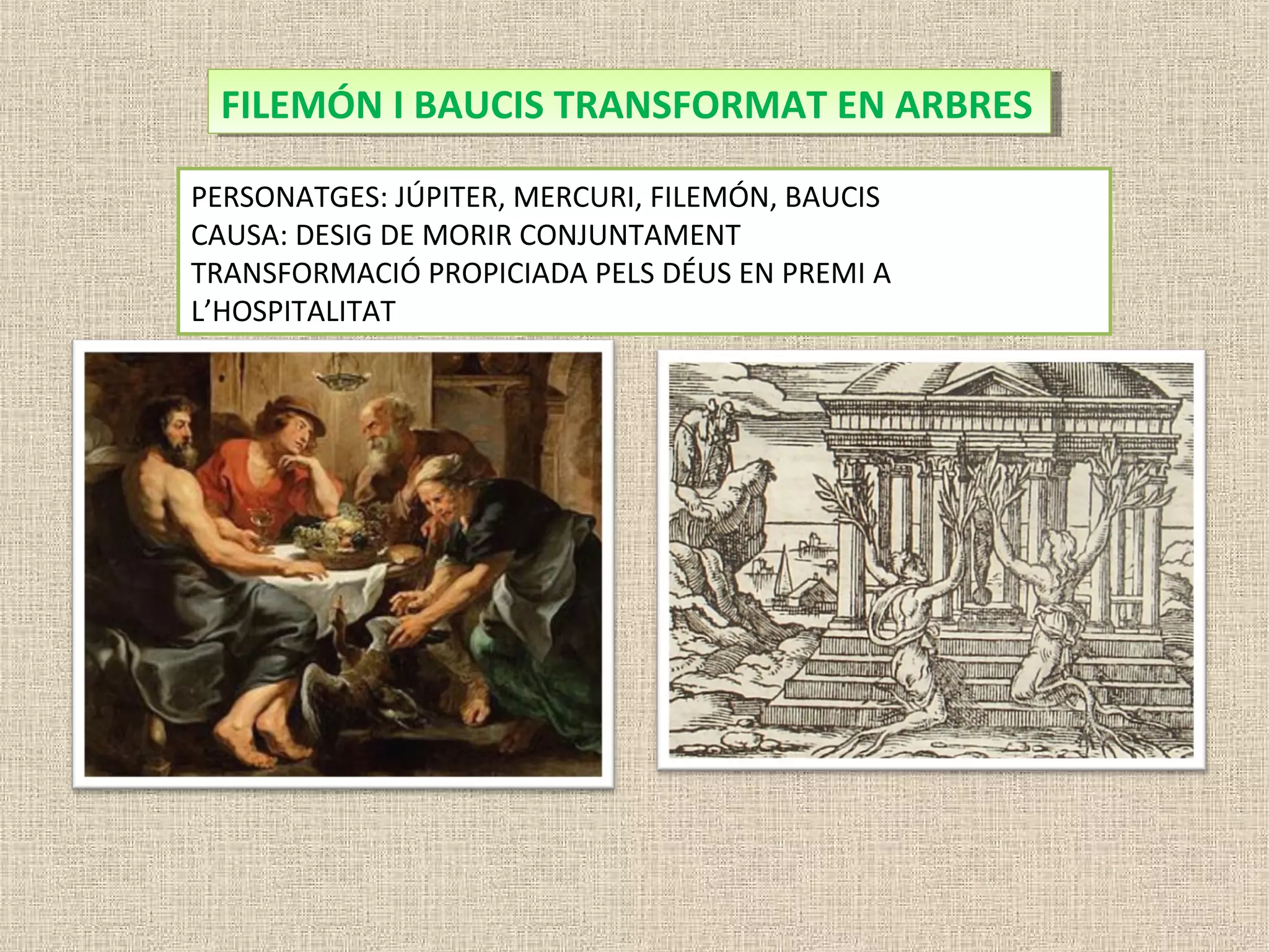 Metamorfosis plantes | PPT