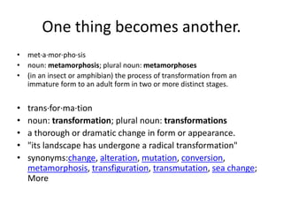 Metamorphasis | PPT