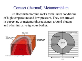 Metamorphic Definition