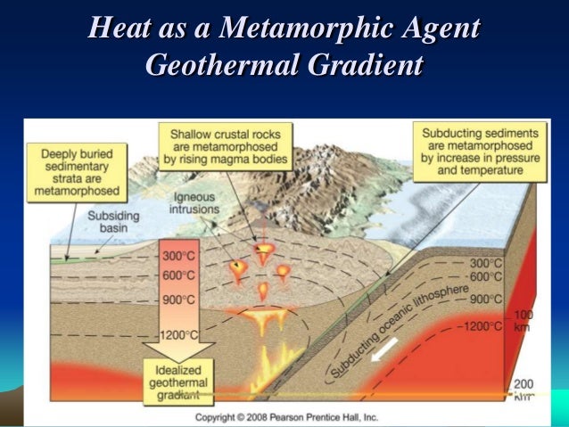 Metamorphic Definition