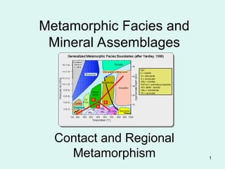 metamorphic facies and possible index minerals | PPT