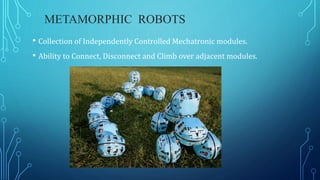 Metamorphic robots.ppt