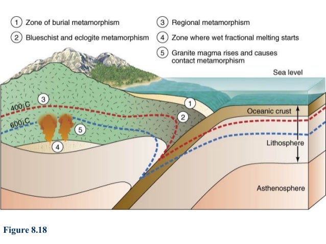Metamorphic Rocks/EPCC/LM6