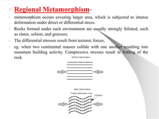 Metamorphism Definition