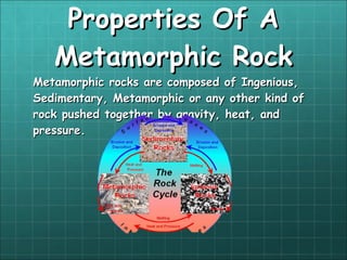 Metamorphic rocks elsa clive | PPT