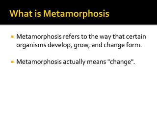 Metamorphieses | PPT