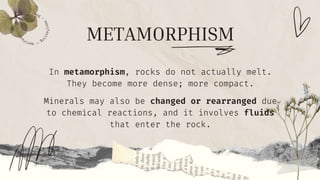 Metamorphism and Igneous Rocks-ELS.pptx
