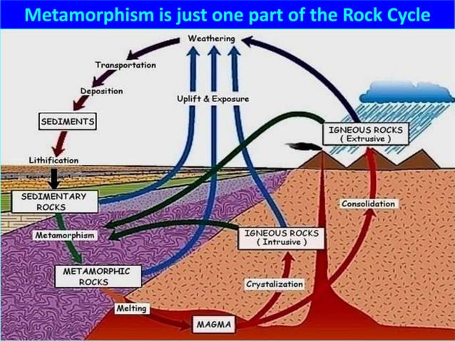 Metamorphism intro | PPTX
