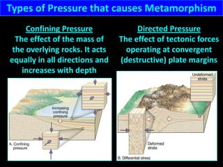 Metamorphism intro | PPTX