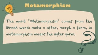 Metamorphism presentation .pdf