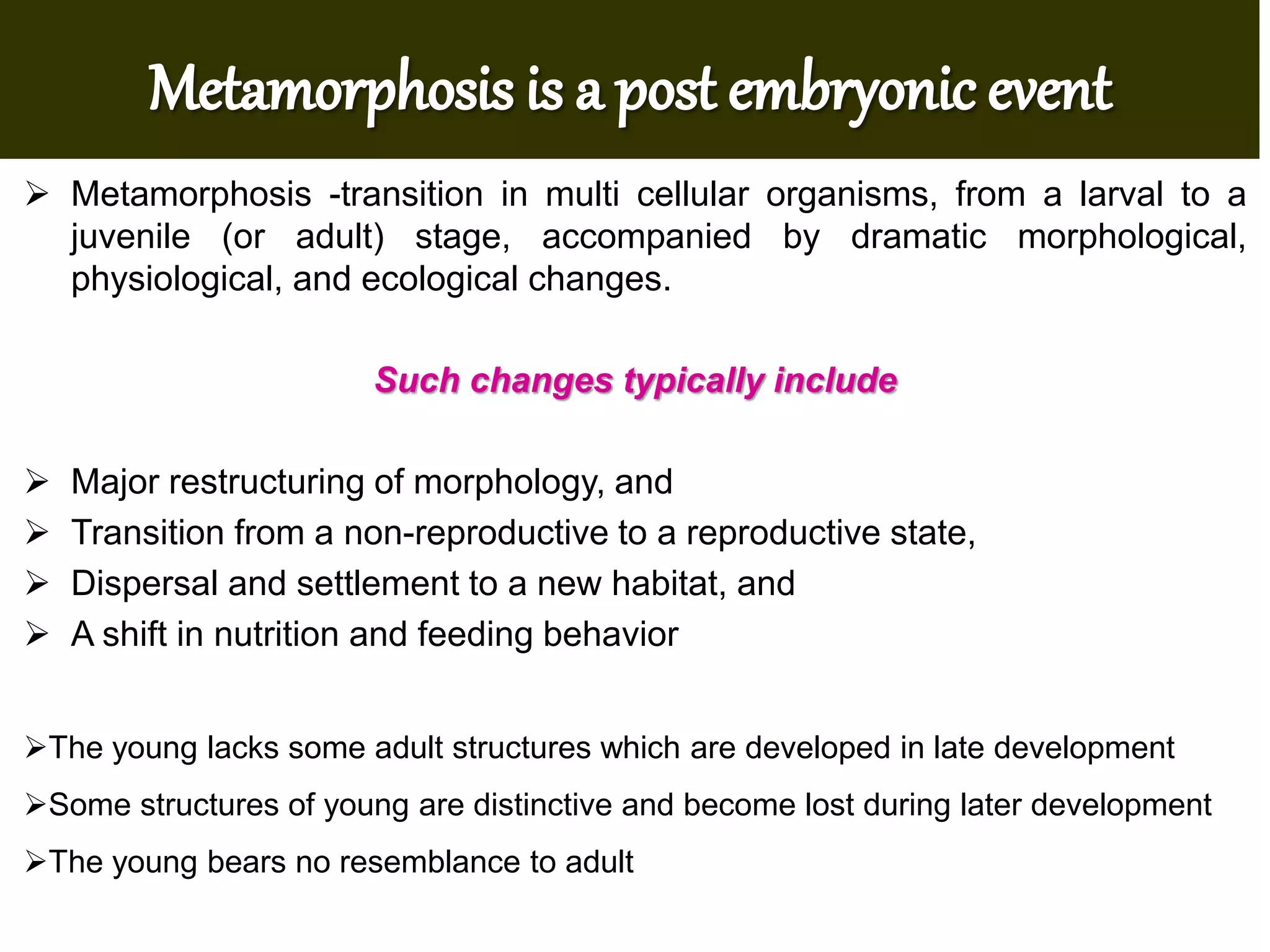 Metamorphosis-amphibians, hormonal control | PPTX
