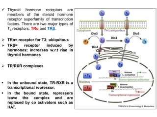 Metamorphosis-amphibians, hormonal control | PPTX