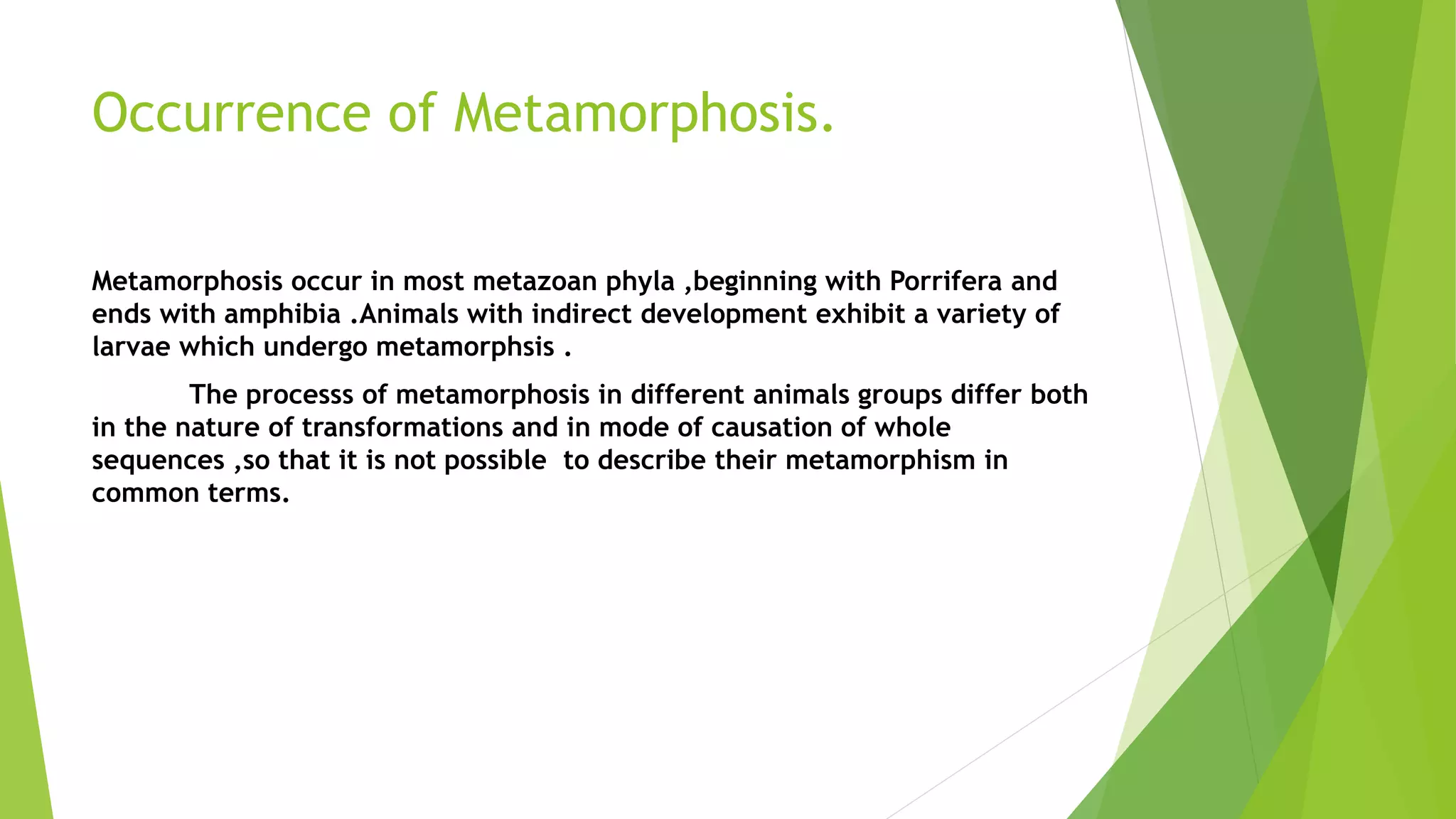 Metamorphosis | PPTX