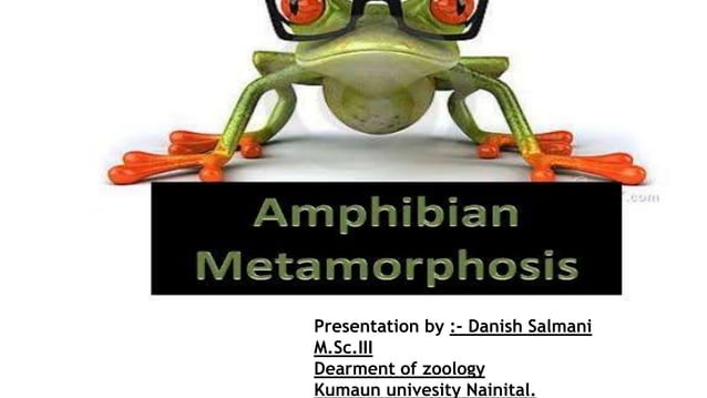 Metamorphosis | PPTX | Biological Sciences | Science