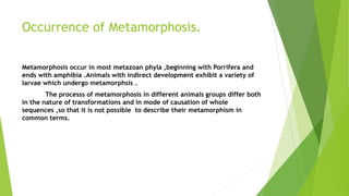 Metamorphosis | PPTX