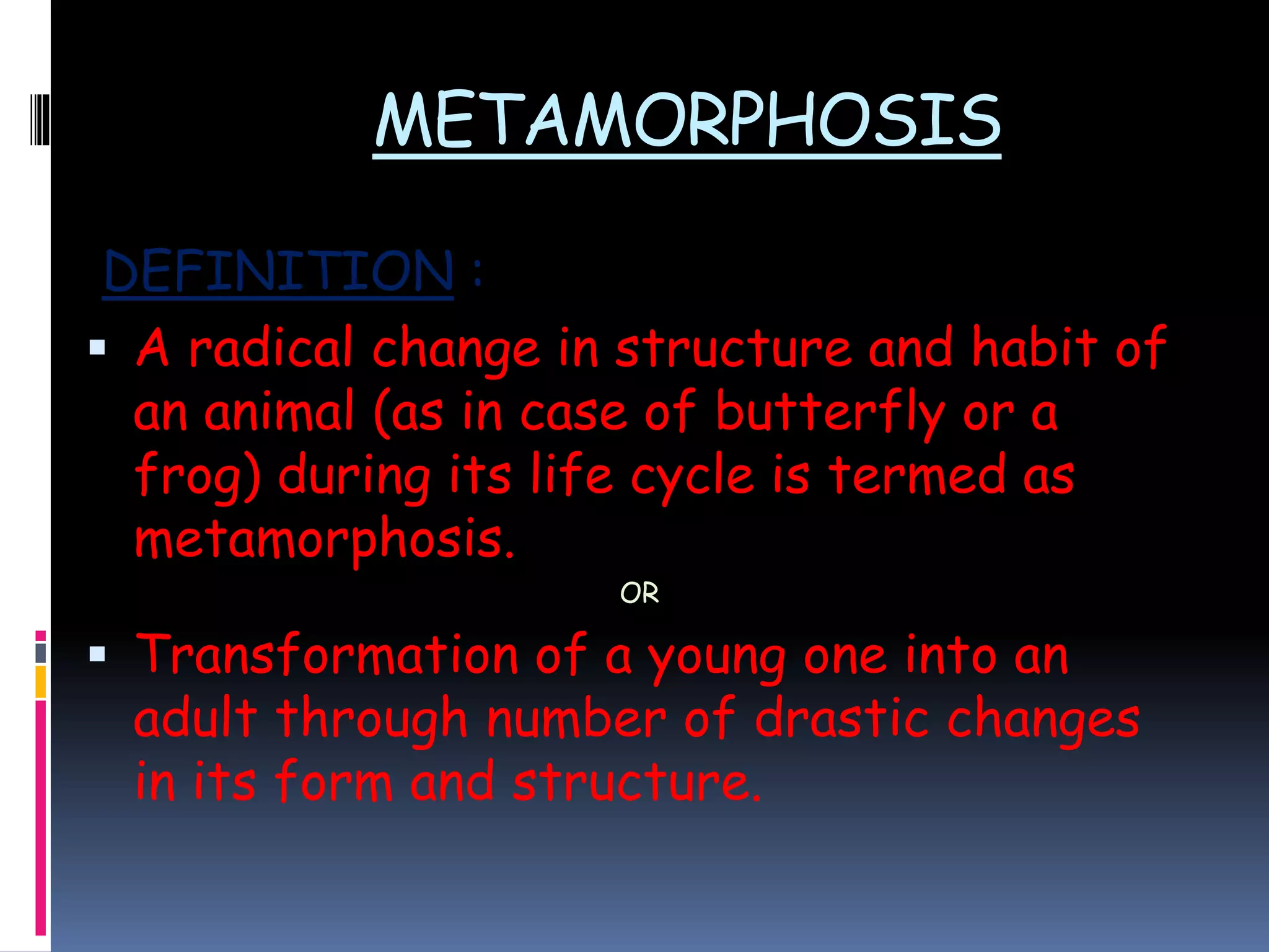 Metamorphosis in frog | PPTX