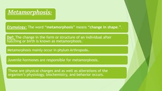 Metamorphosis | PPTX