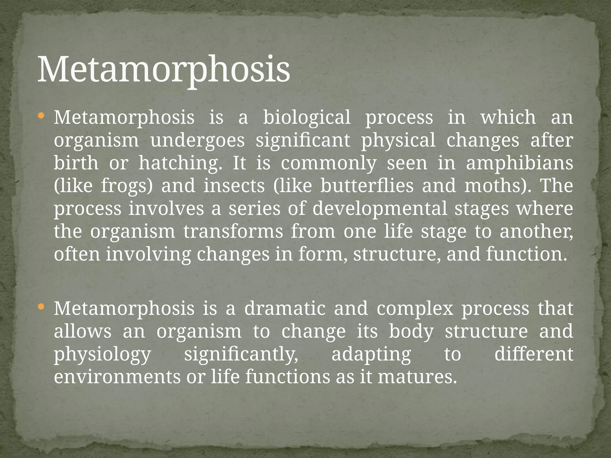 Metamorphosis - Developmental Biology Dr.M.Jothimuniyandi | PPTX ...